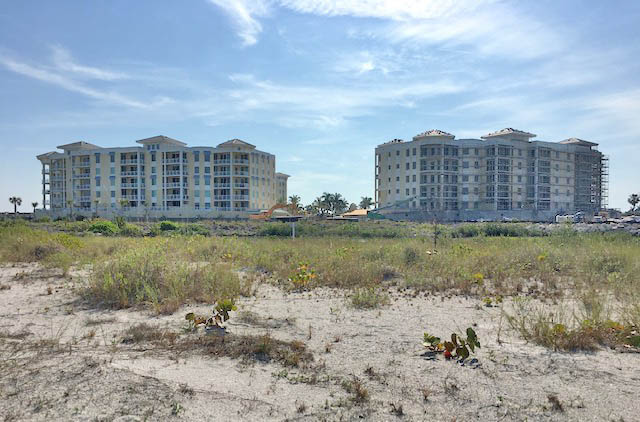 Save Florida’s natural walls | Kyle Pierson